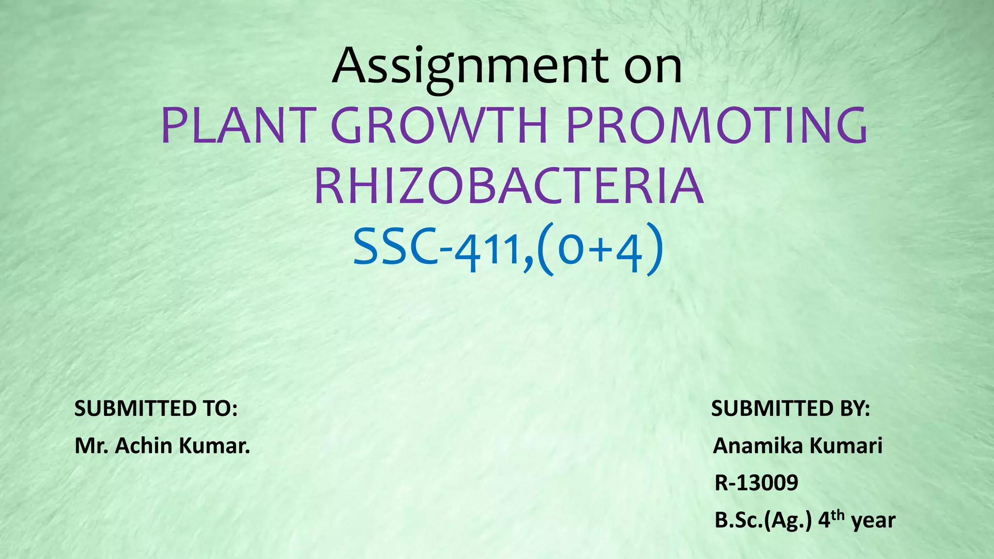 plant growth promoting rhizobacteria | PPTX