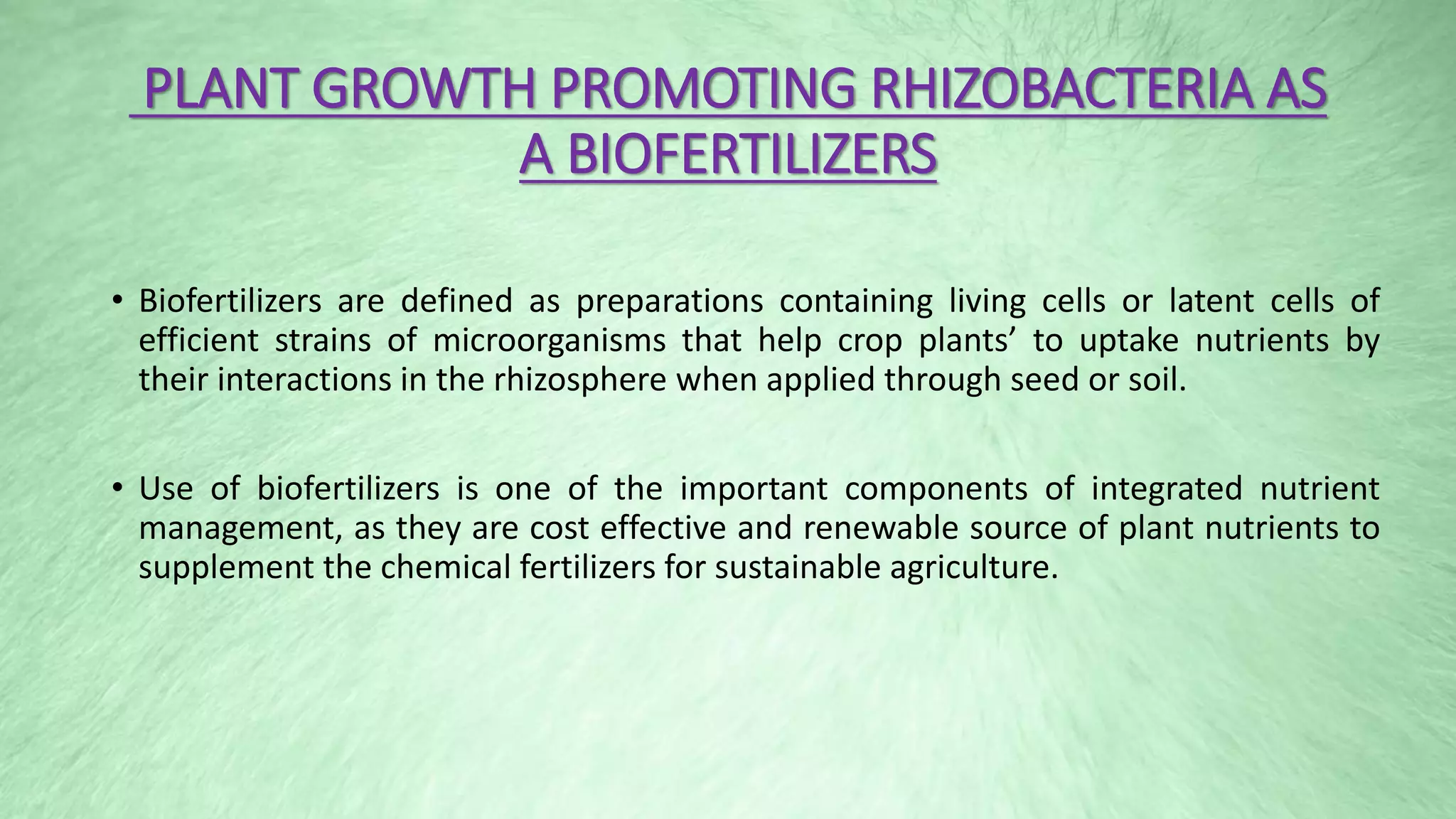 plant growth promoting rhizobacteria | PPTX