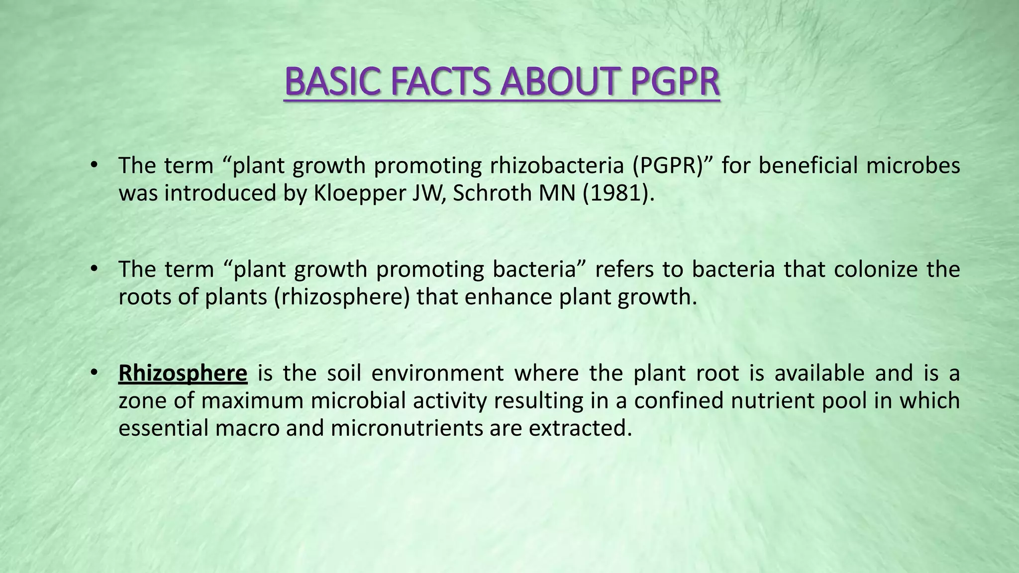 plant growth promoting rhizobacteria | PPTX