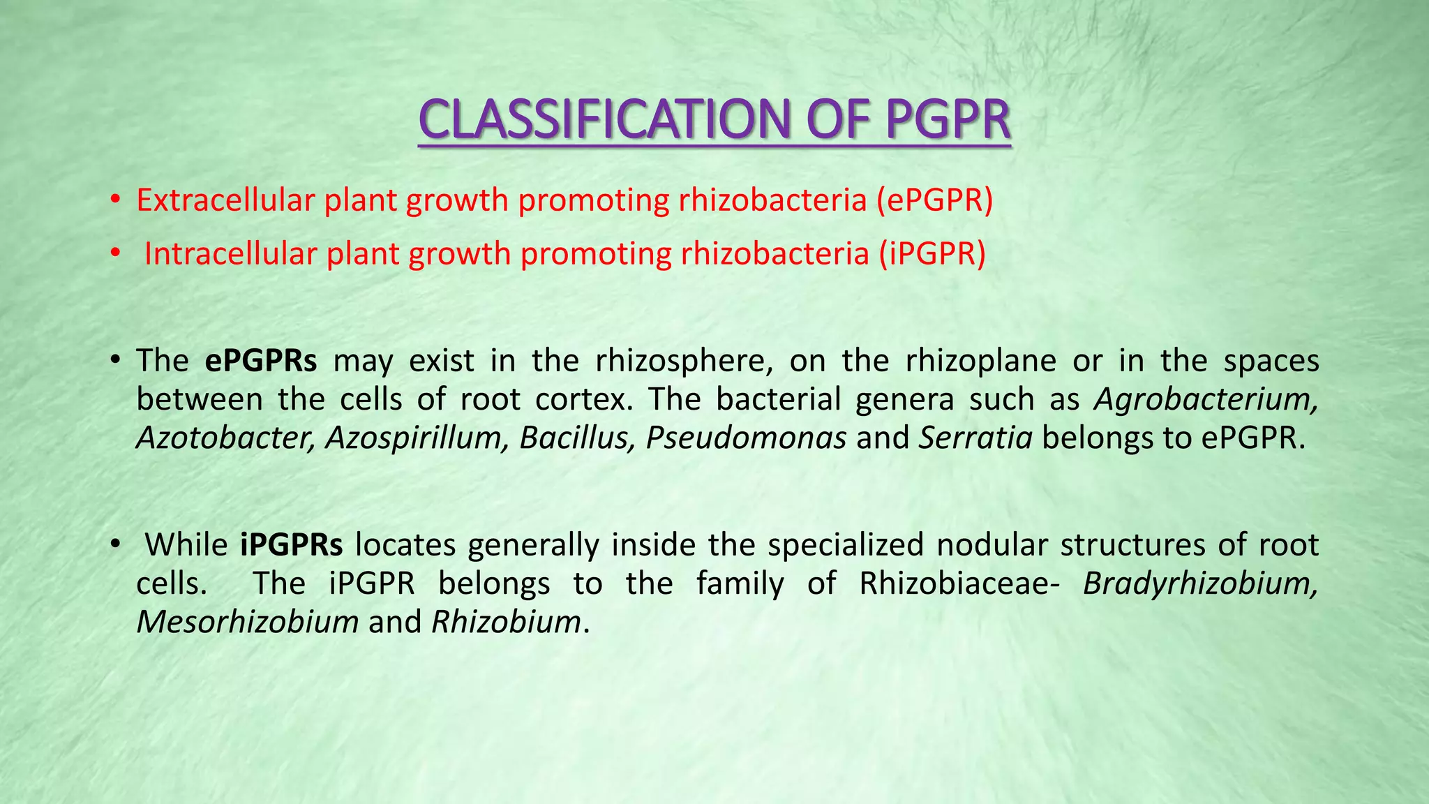 plant growth promoting rhizobacteria | PPTX