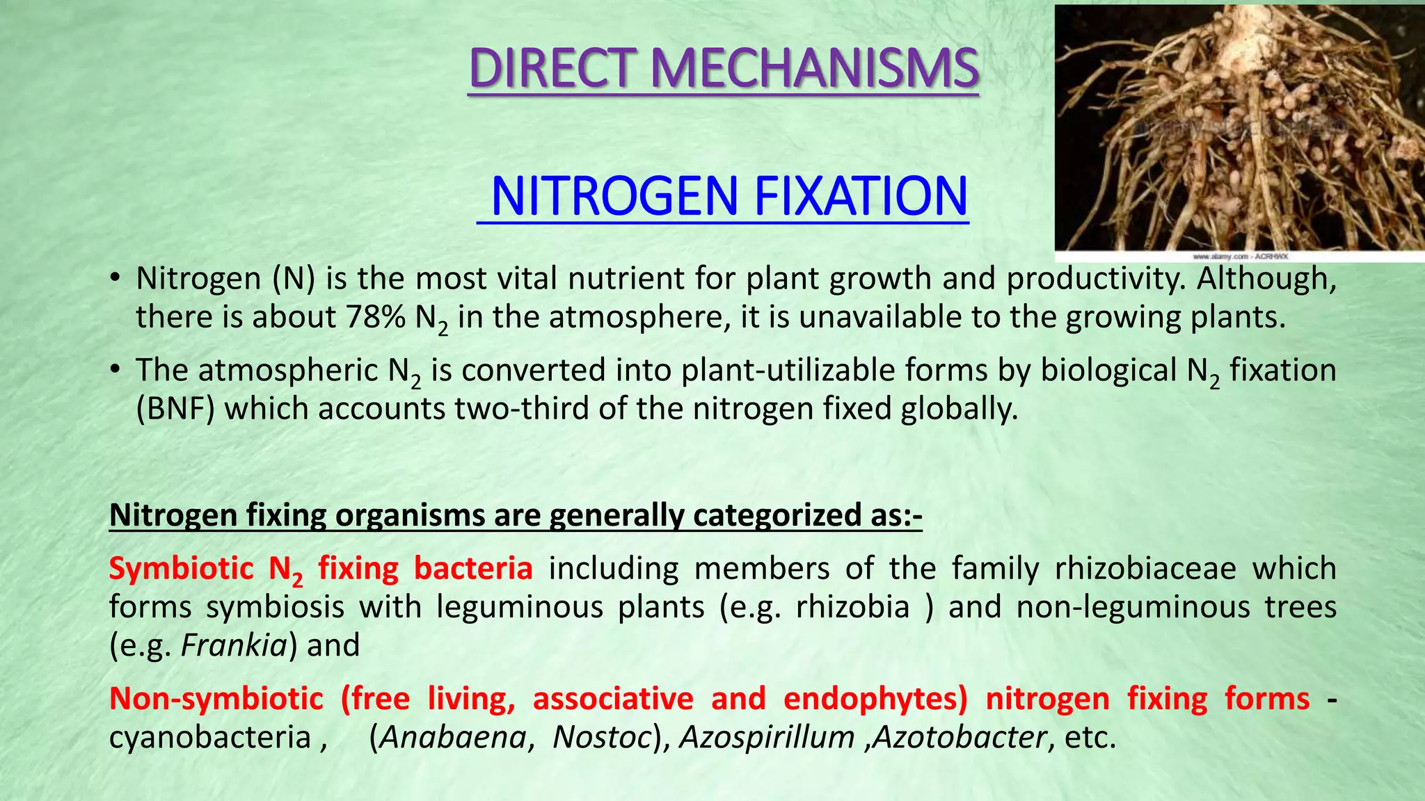 plant growth promoting rhizobacteria | PPTX
