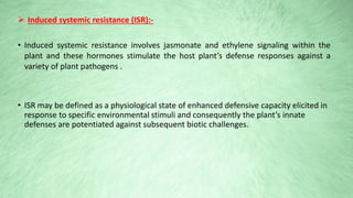 plant growth promoting rhizobacteria | PPTX
