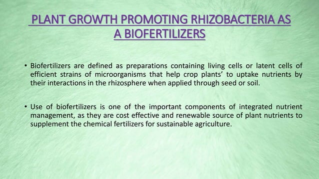 plant growth promoting rhizobacteria | PPT