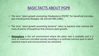 plant growth promoting rhizobacteria | PPTX
