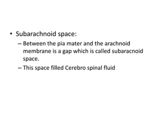 Basic feature of the NS.pptx
