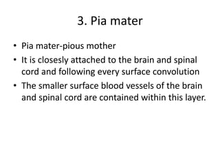 Basic feature of the NS.pptx