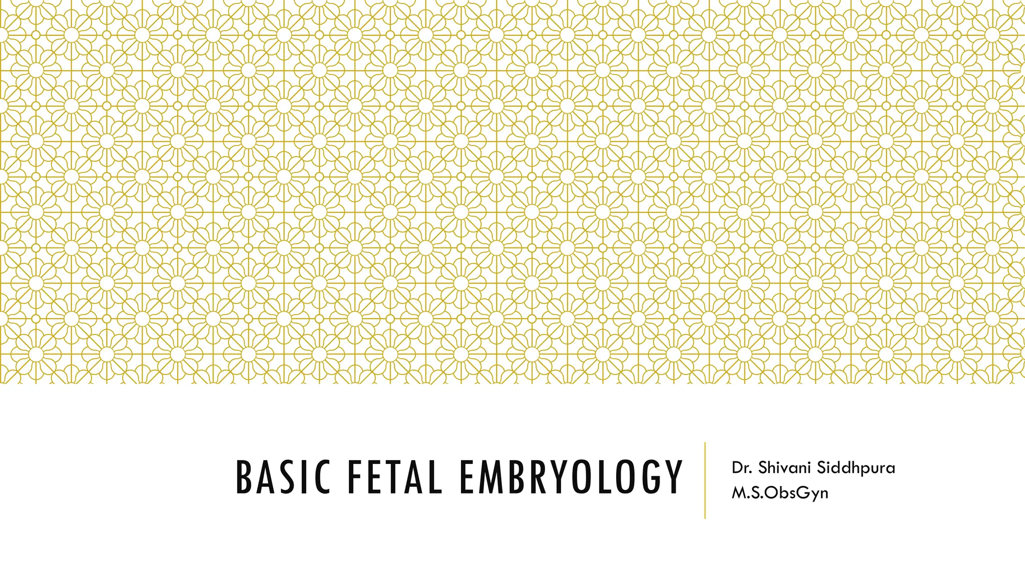 Basic Fetal embryology and development of germ layers.pptx