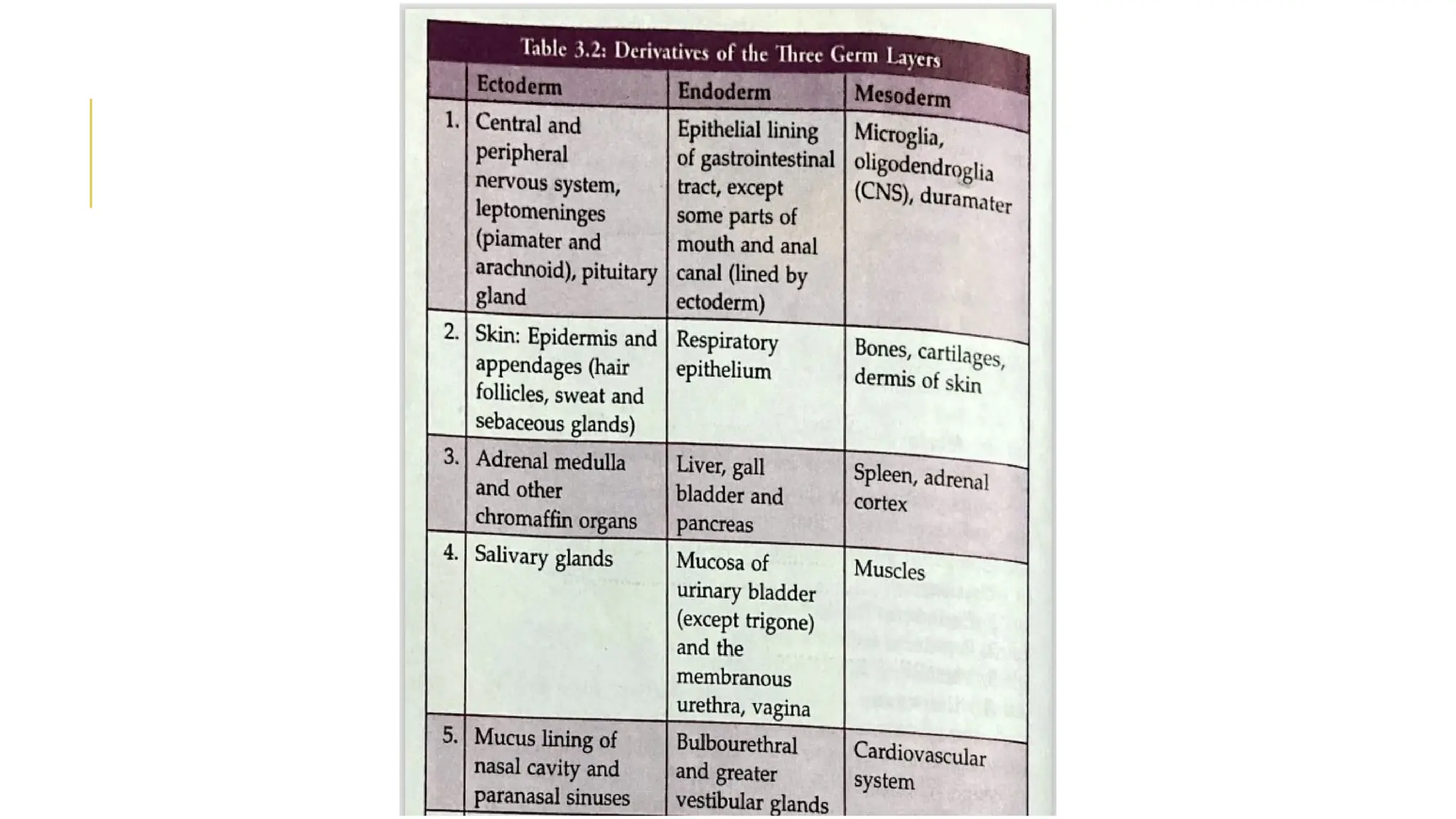 Basic Fetal embryology and development of germ layers.pptx
