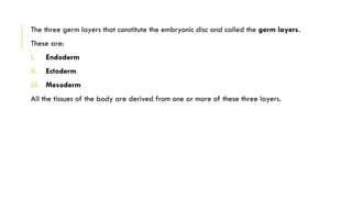 Basic Fetal embryology and development of germ layers.pptx