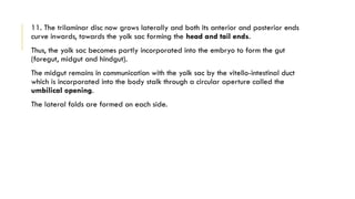 Basic Fetal embryology and development of germ layers.pptx