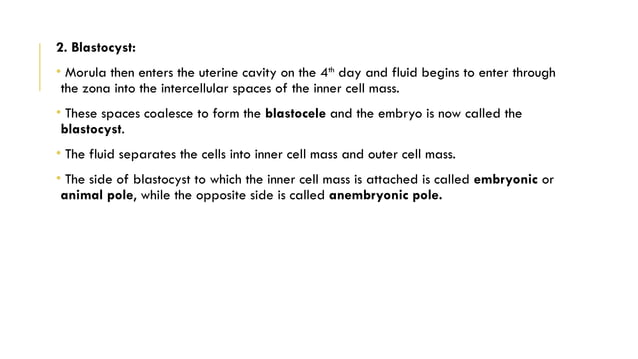 Basic Fetal embryology and development of germ layers.pptx ...