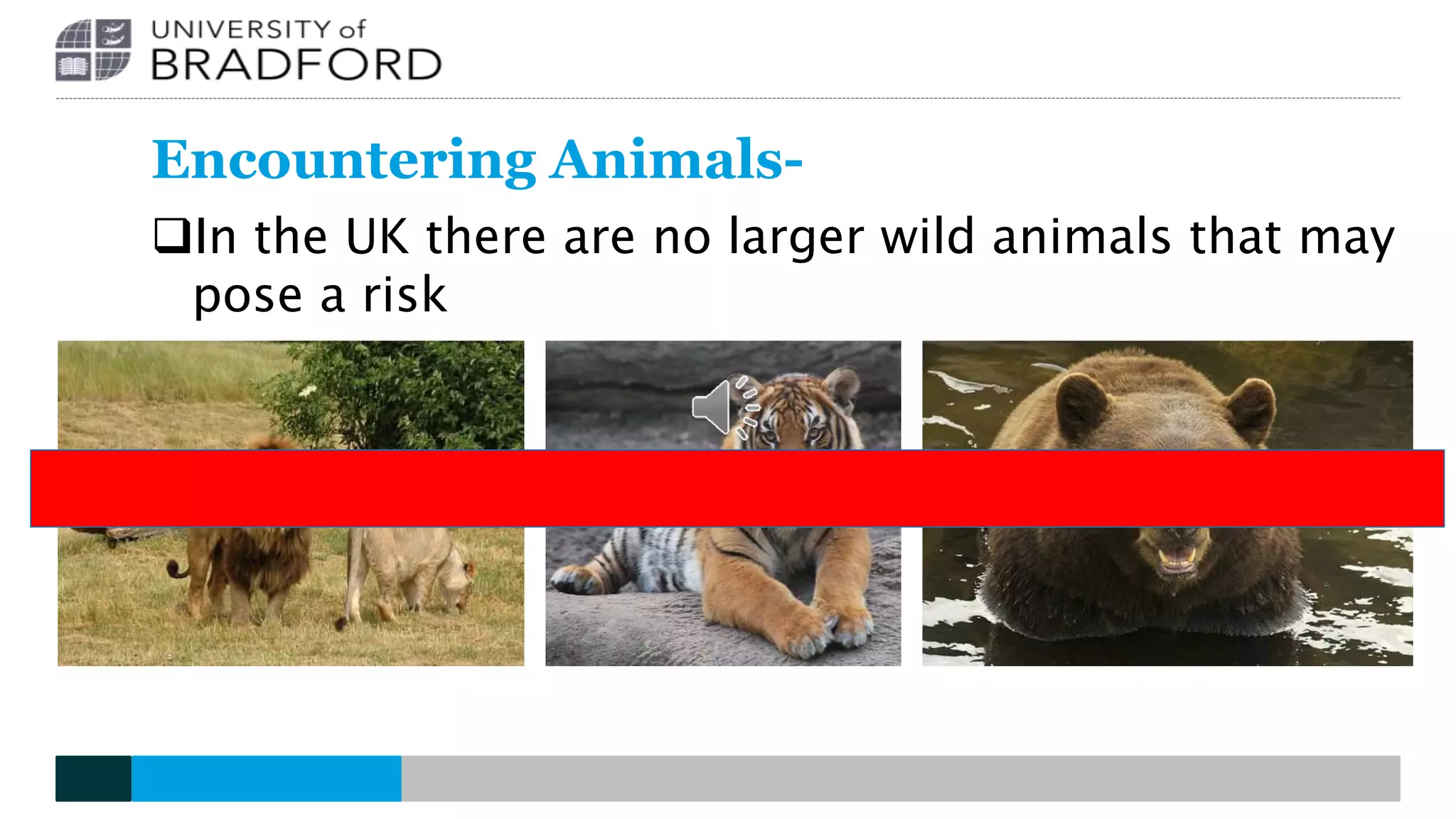 Basic+Fieldwork+-+Copy.pptx