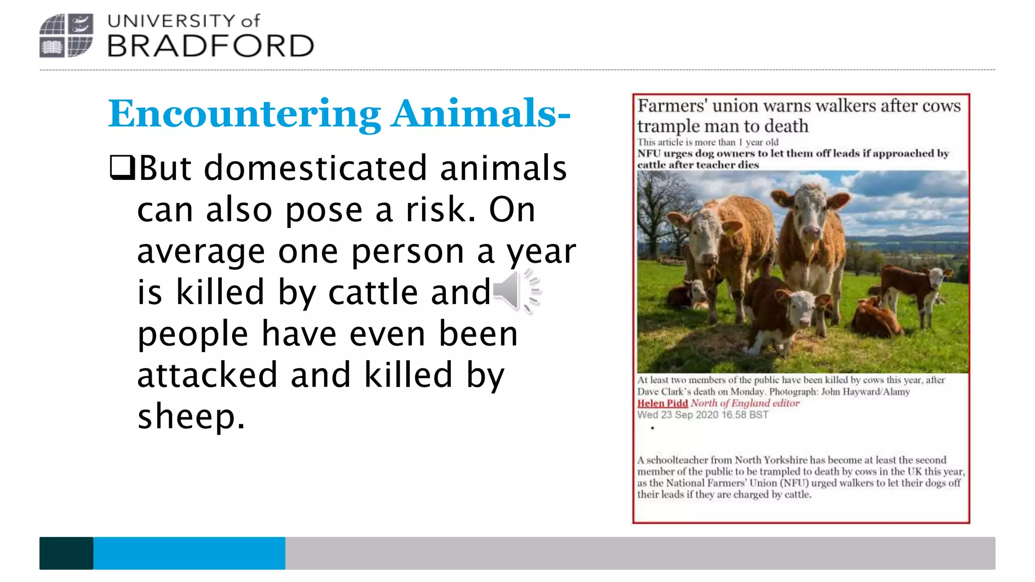 Basic+Fieldwork+-+Copy.pptx