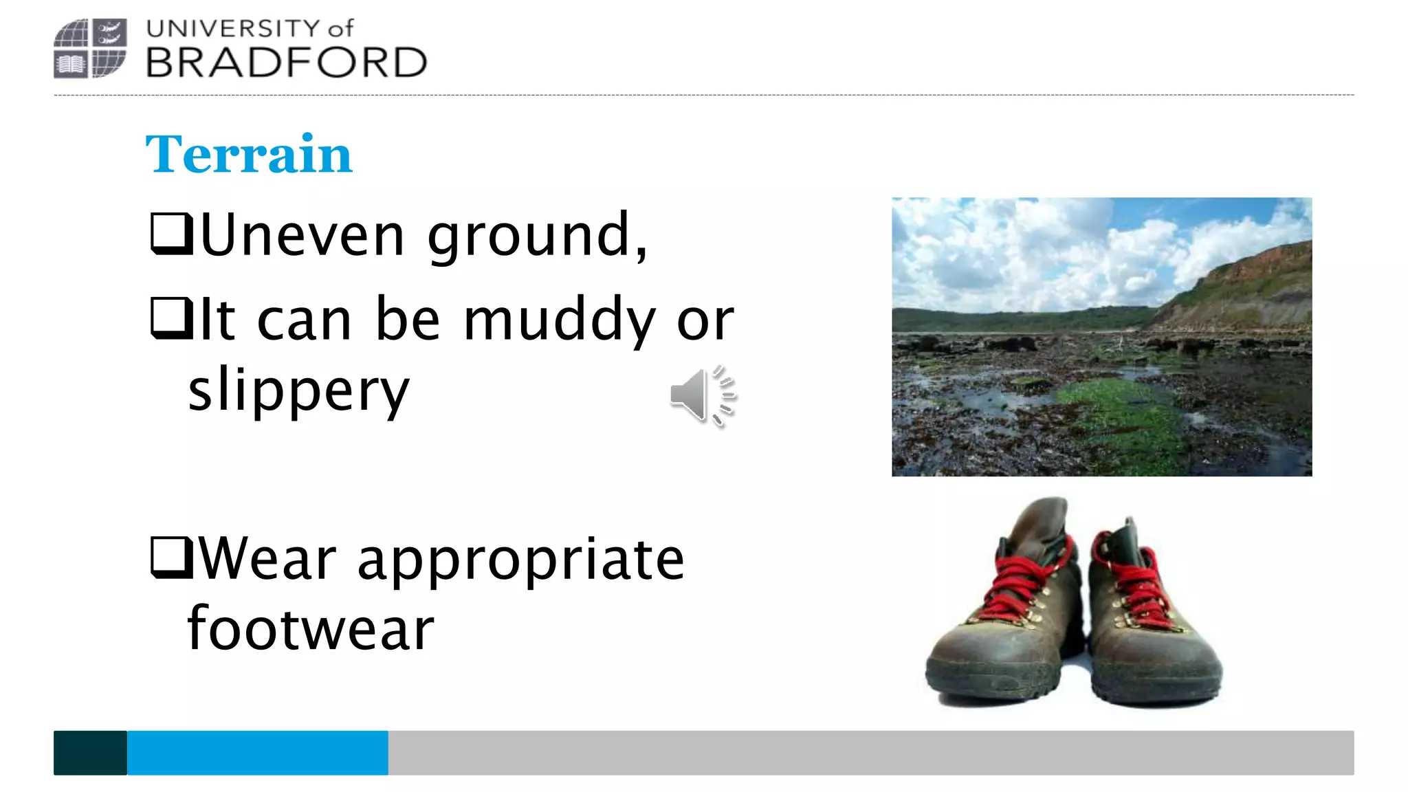 Basic+Fieldwork+-+Copy.pptx