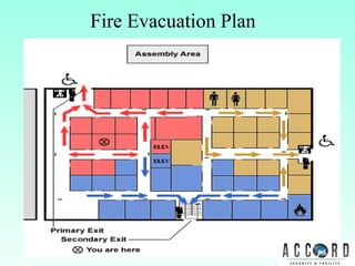 Basic fire safety | PPT