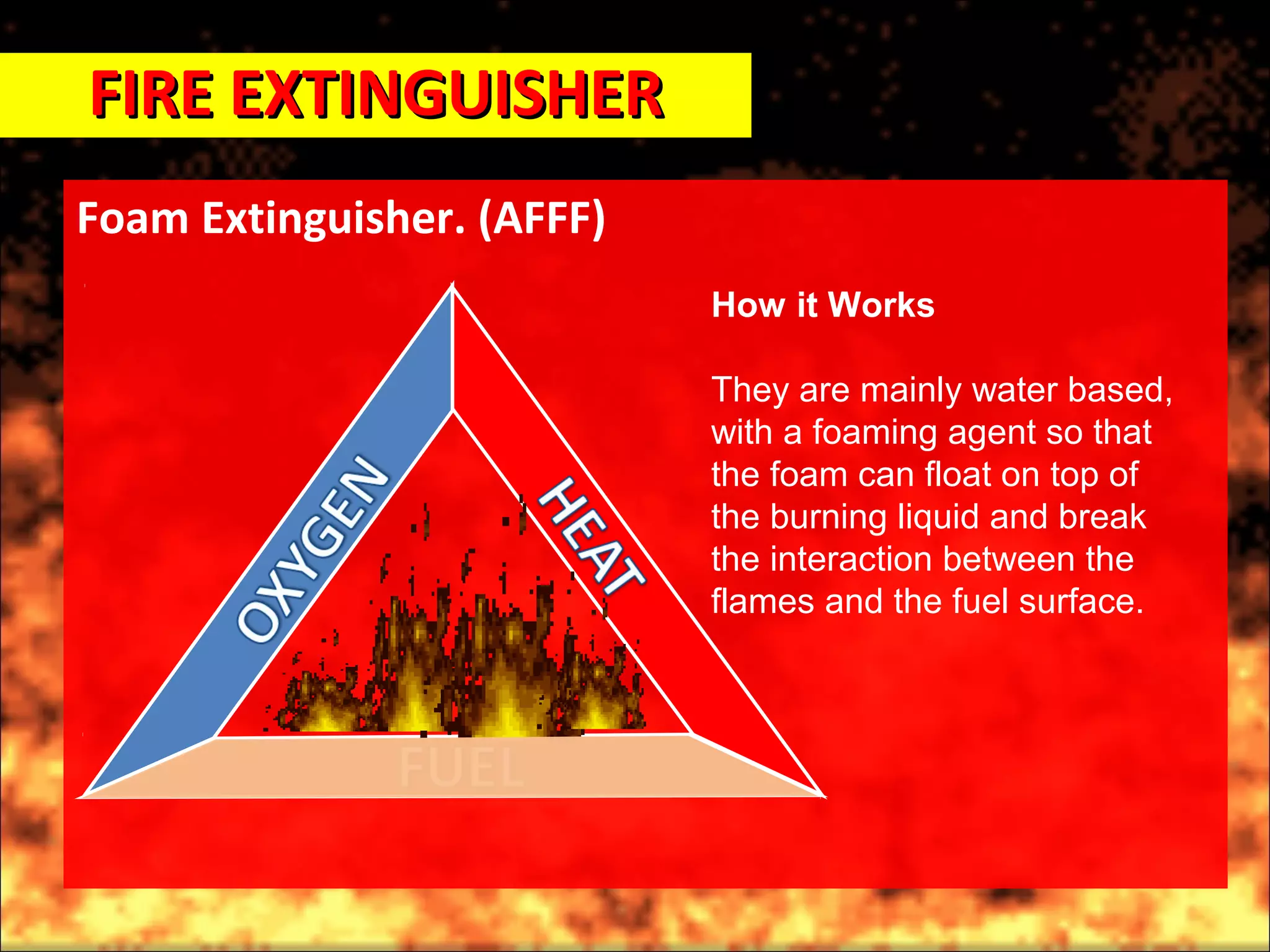 Basic fire warden | PPT