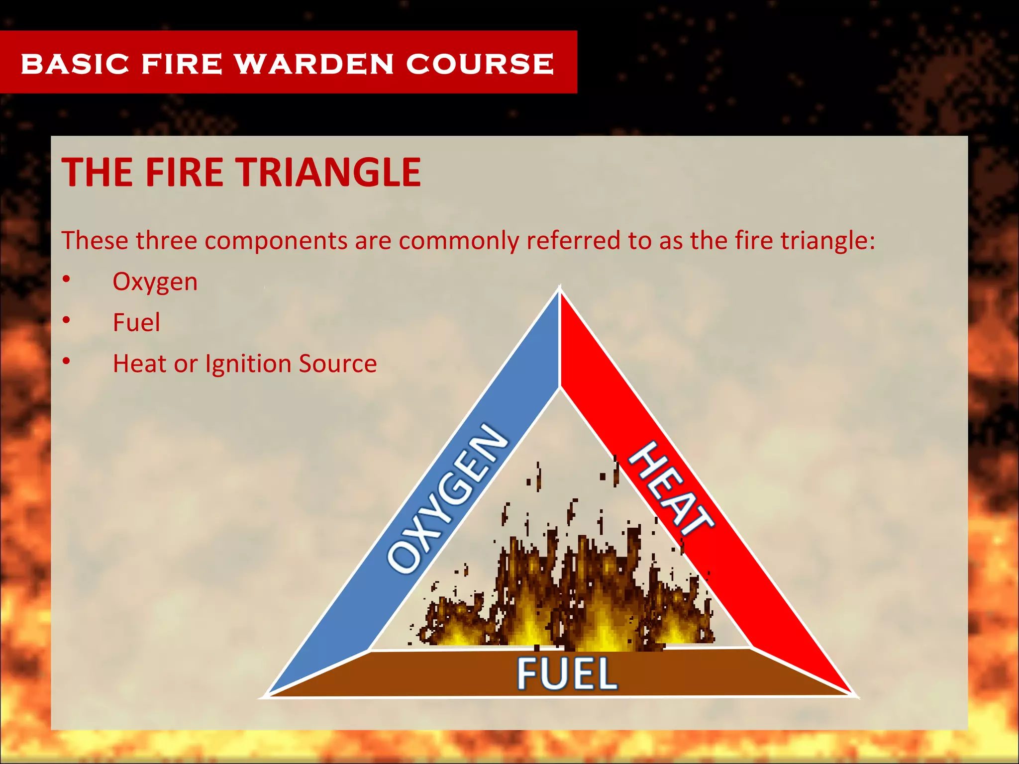 Basic fire warden | PPT