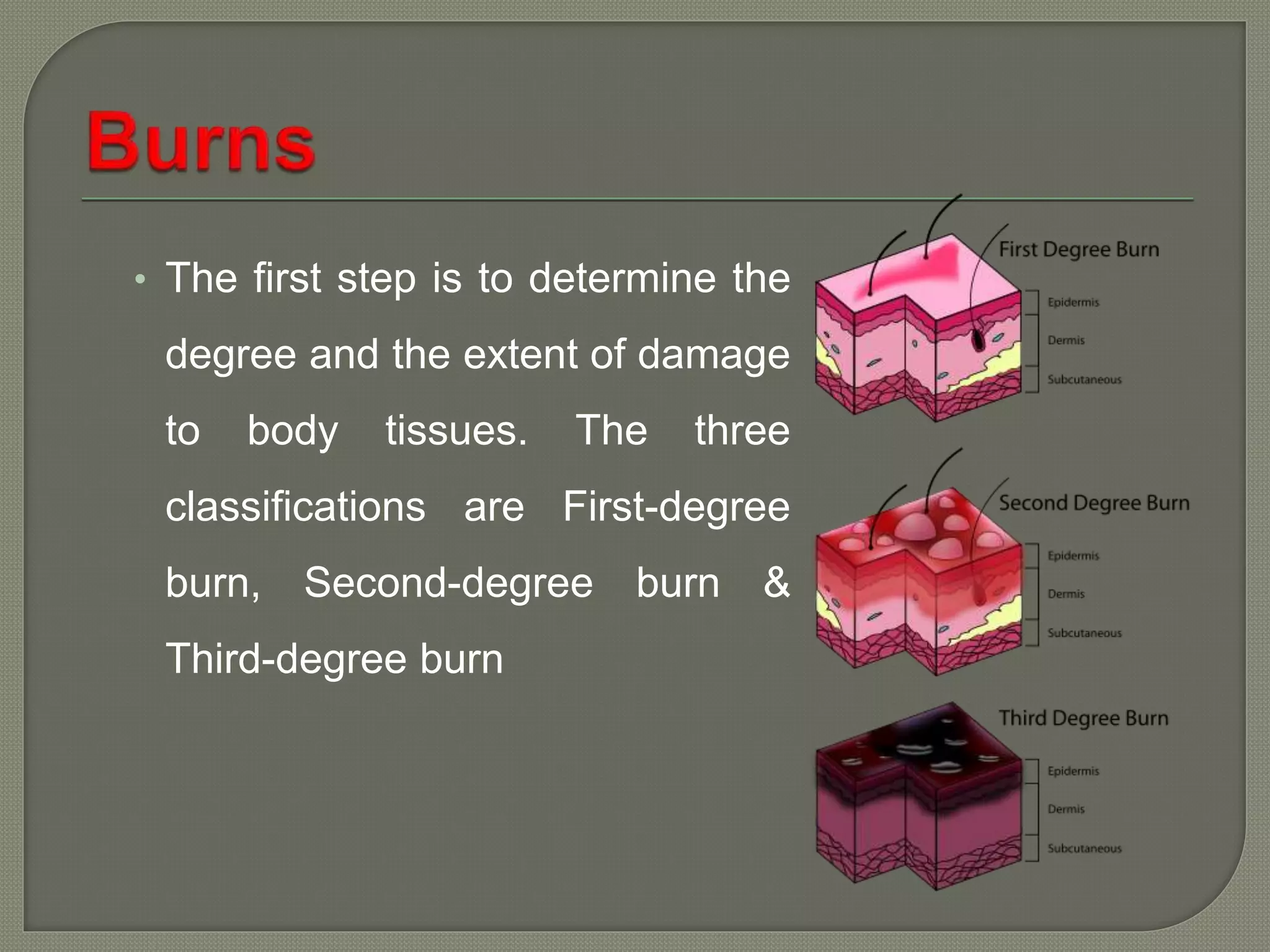 Basic first aid | PPTX