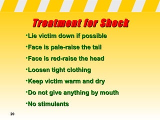 Basic first aid | PPT