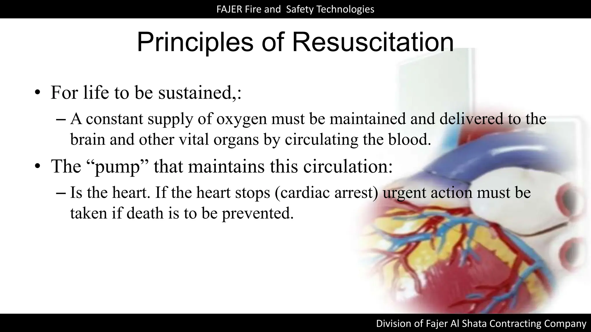 Basic First Aid Safety training for beginners | PPTX