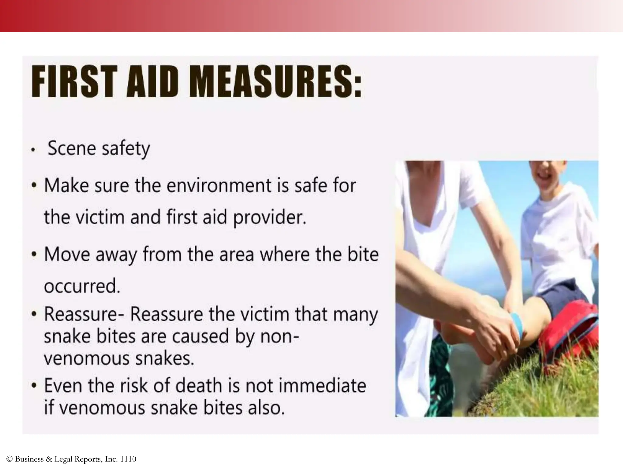 Basic First Aid for Students - Dr. A. Kavi.pptx