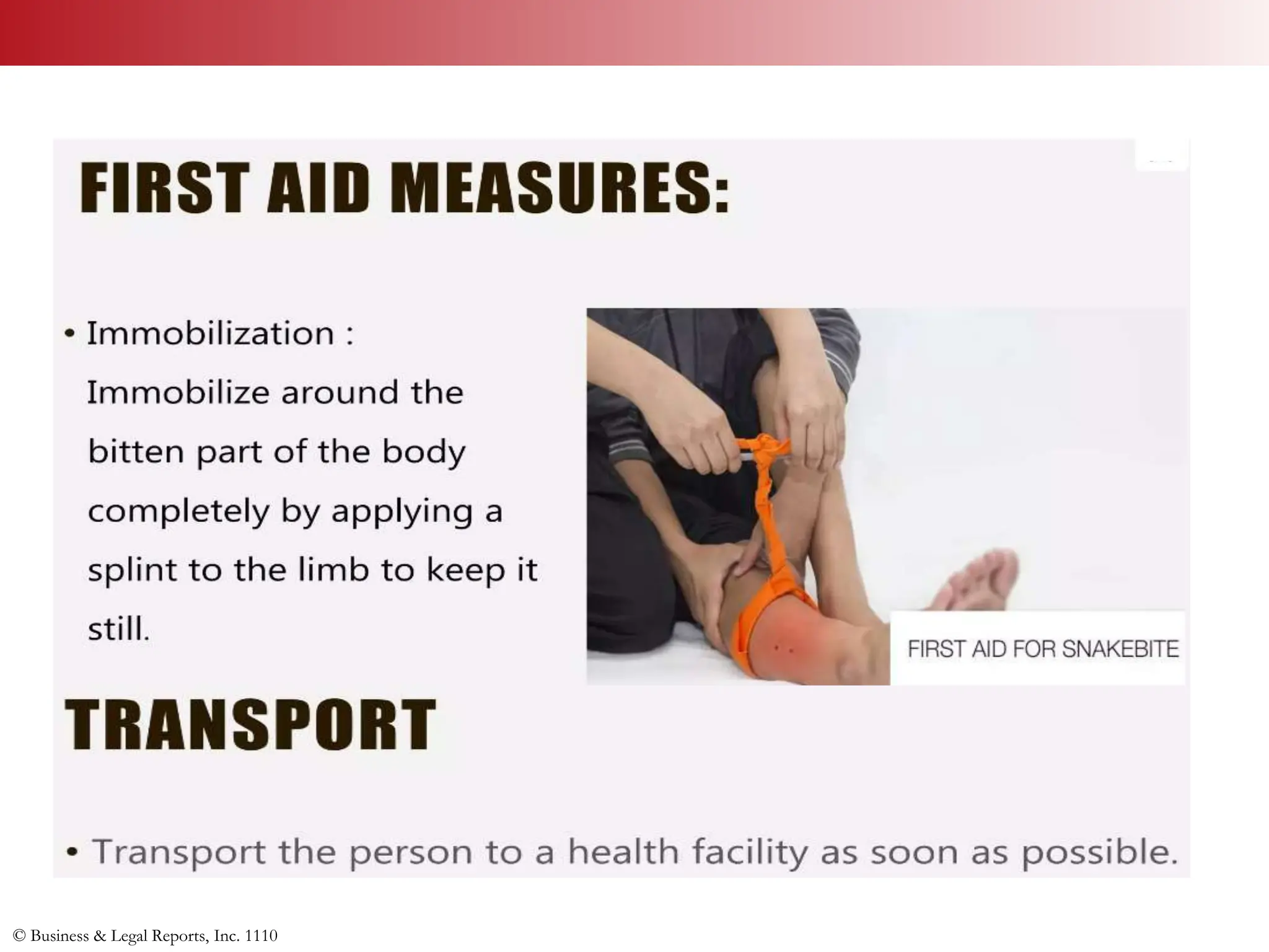 Basic First Aid for Students - Dr. A. Kavi.pptx