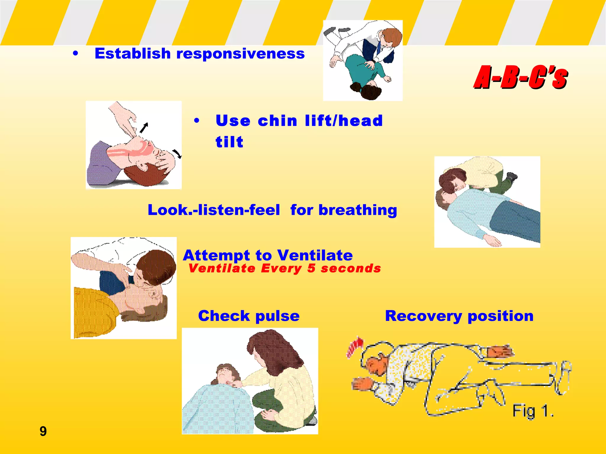 Basic first aid | PPT