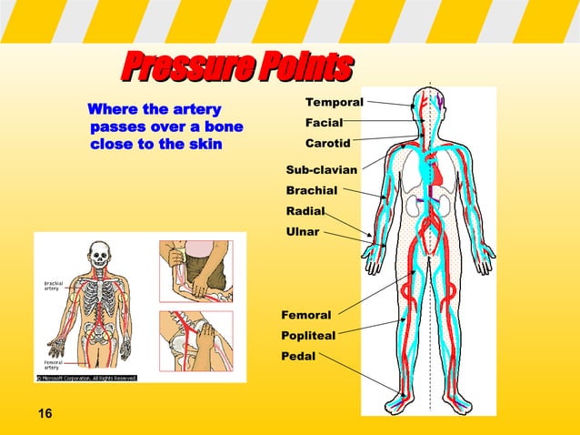 Basic FIRST AID PRINCIPLES AND APPROPRIATE MEASURES | PPT