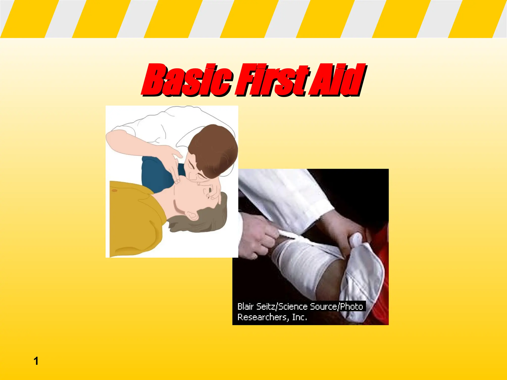Basic First aid Skills and Training PPTX | PPT