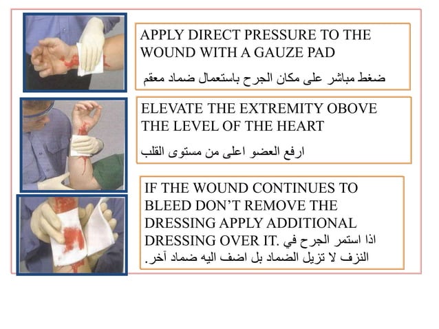 Basic First Aid.pptx