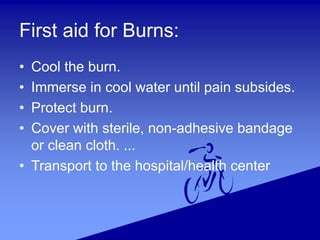 Basic first aid for beginners | PPTX