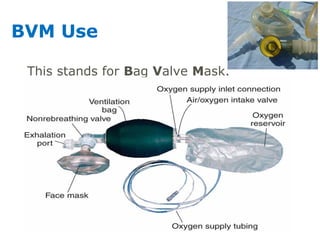 Basic first aid presentation. | PPT