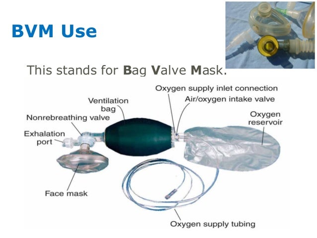 Basic first aid presentation.