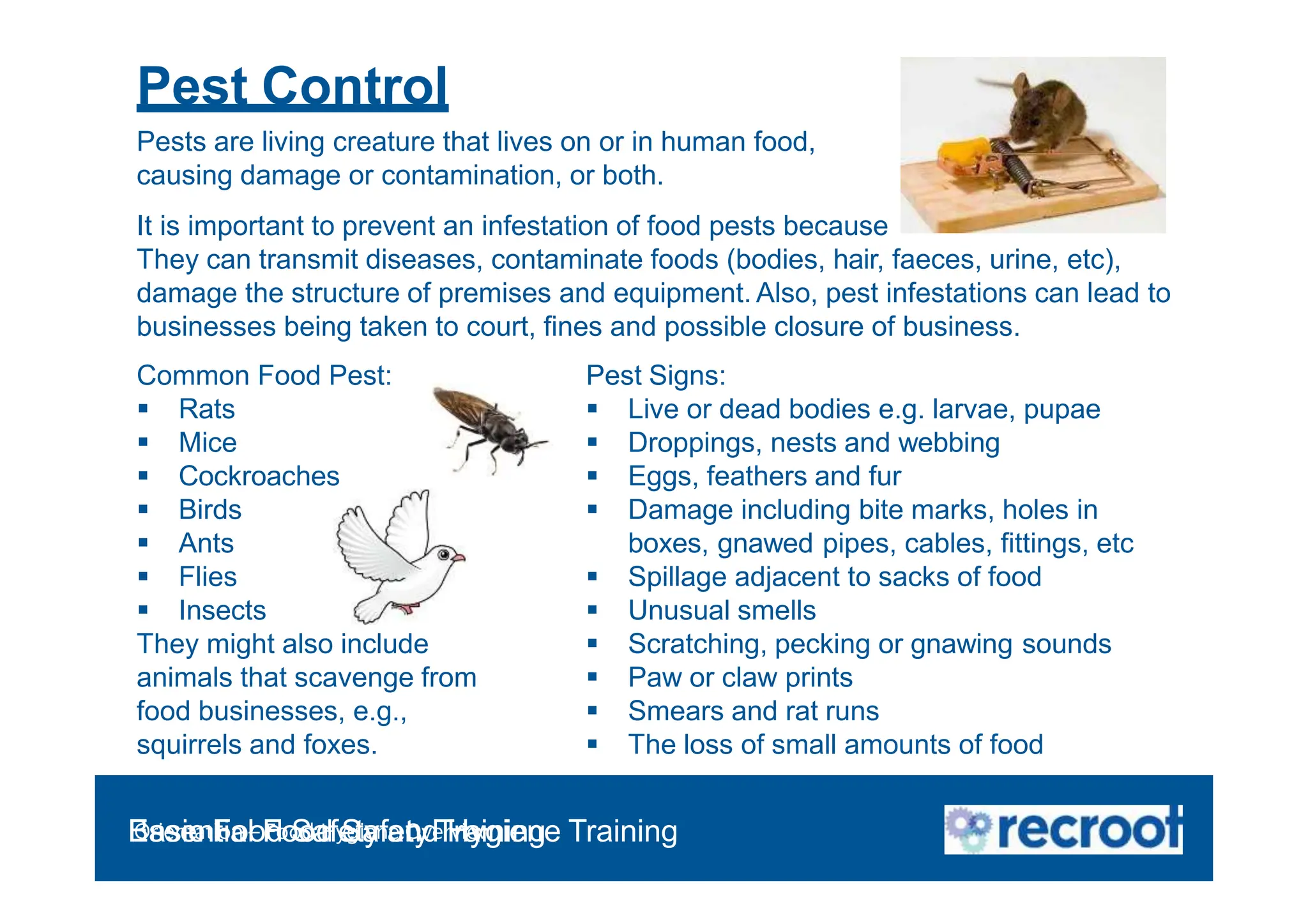 BASIC FOOD SAFETY & HYGIENE TRAINING.pptx