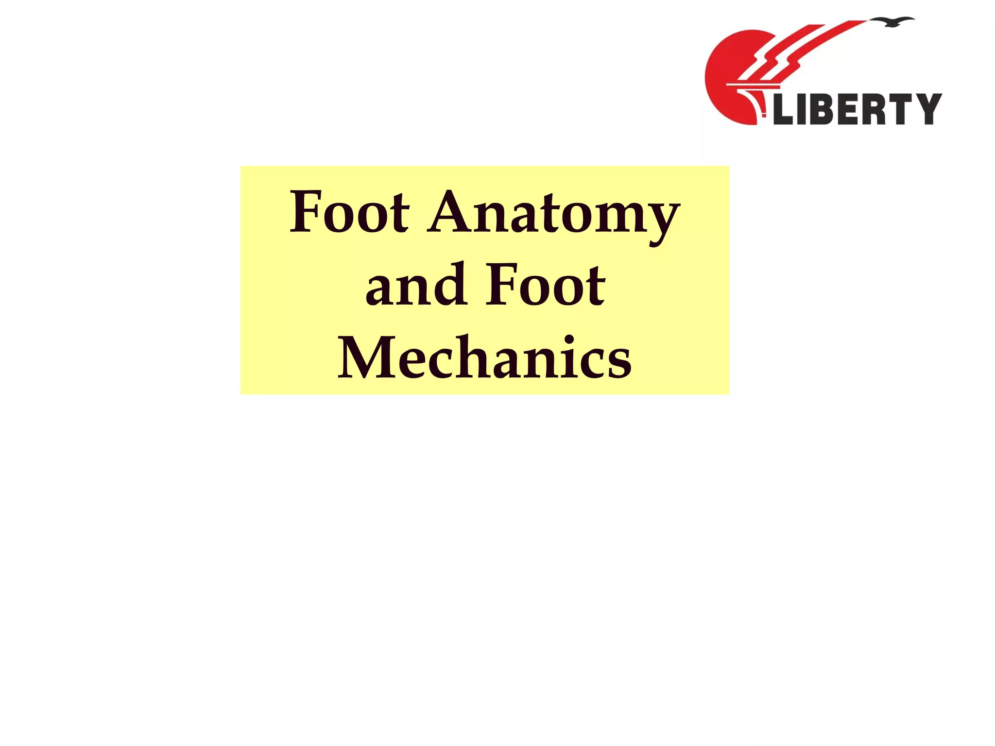 Basic Foot Anatomy and Foot Mechanics | PPT
