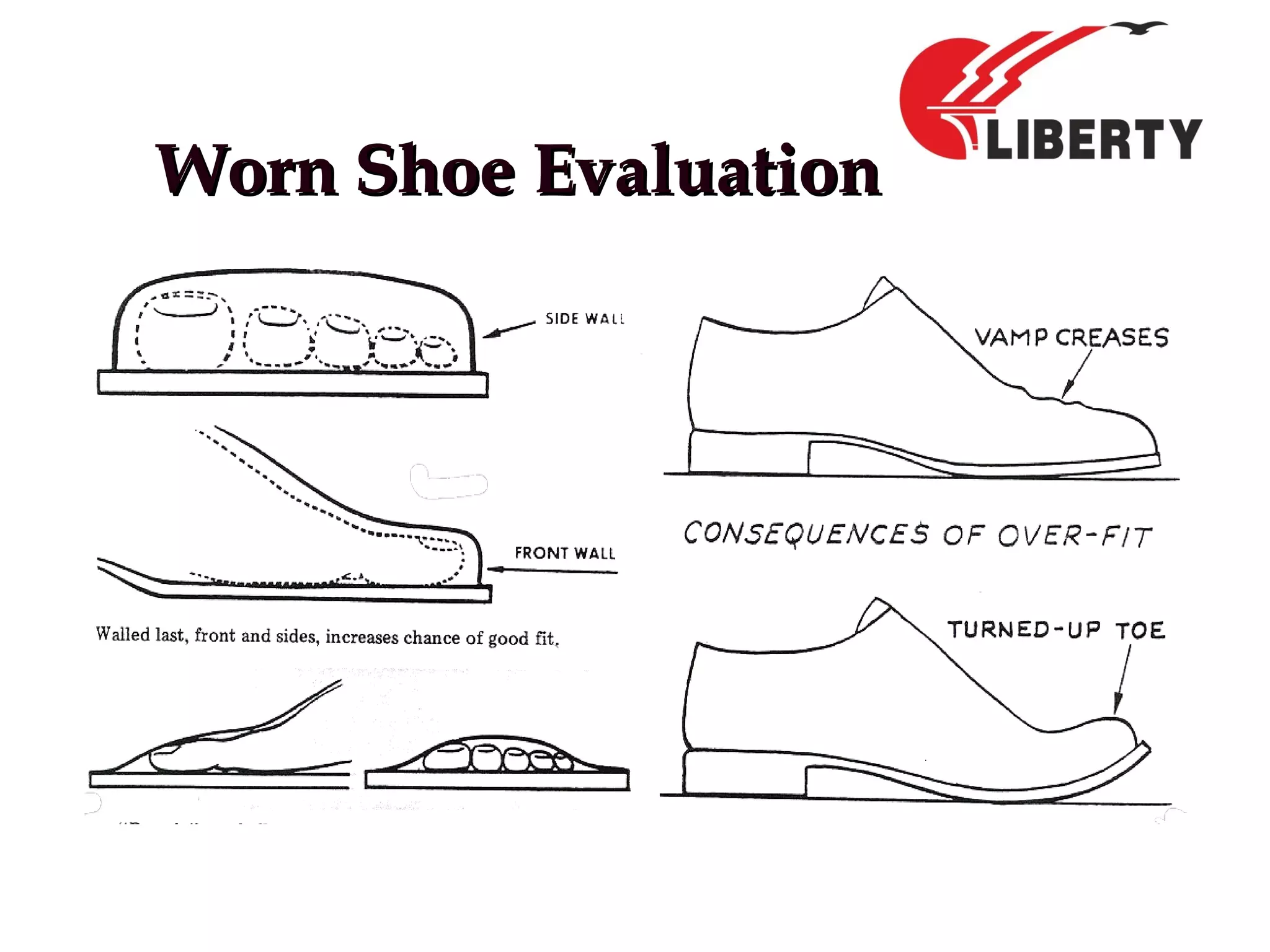 Basic Foot Anatomy and Foot Mechanics | PPT