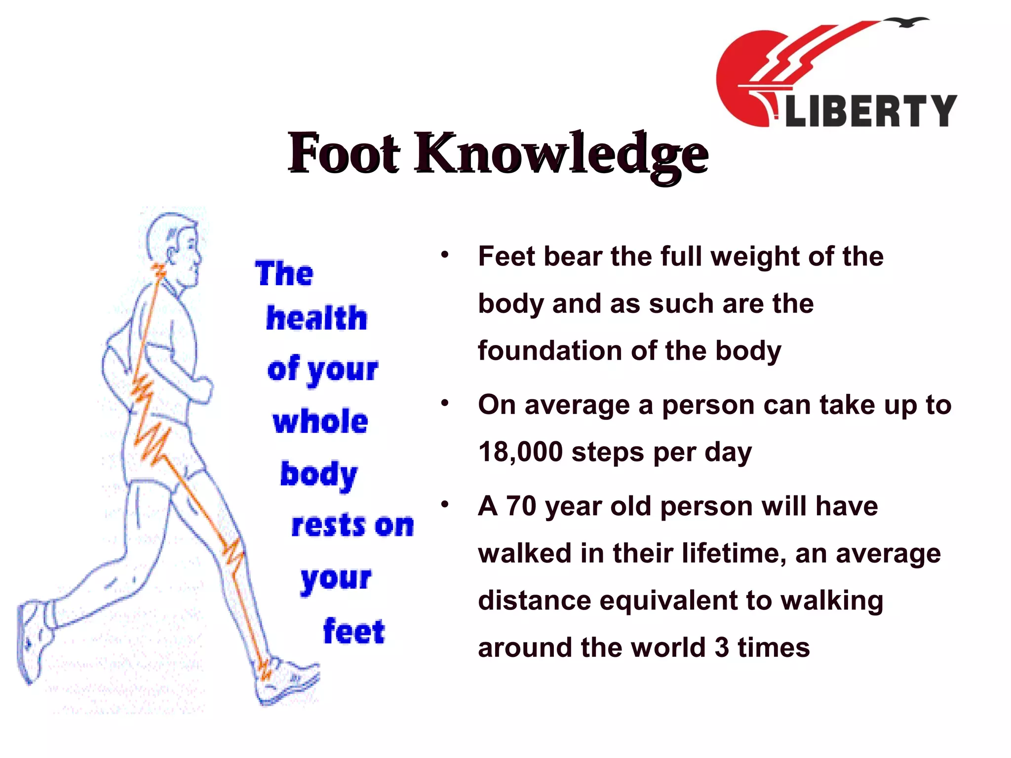 Basic Foot Anatomy and Foot Mechanics | PPT