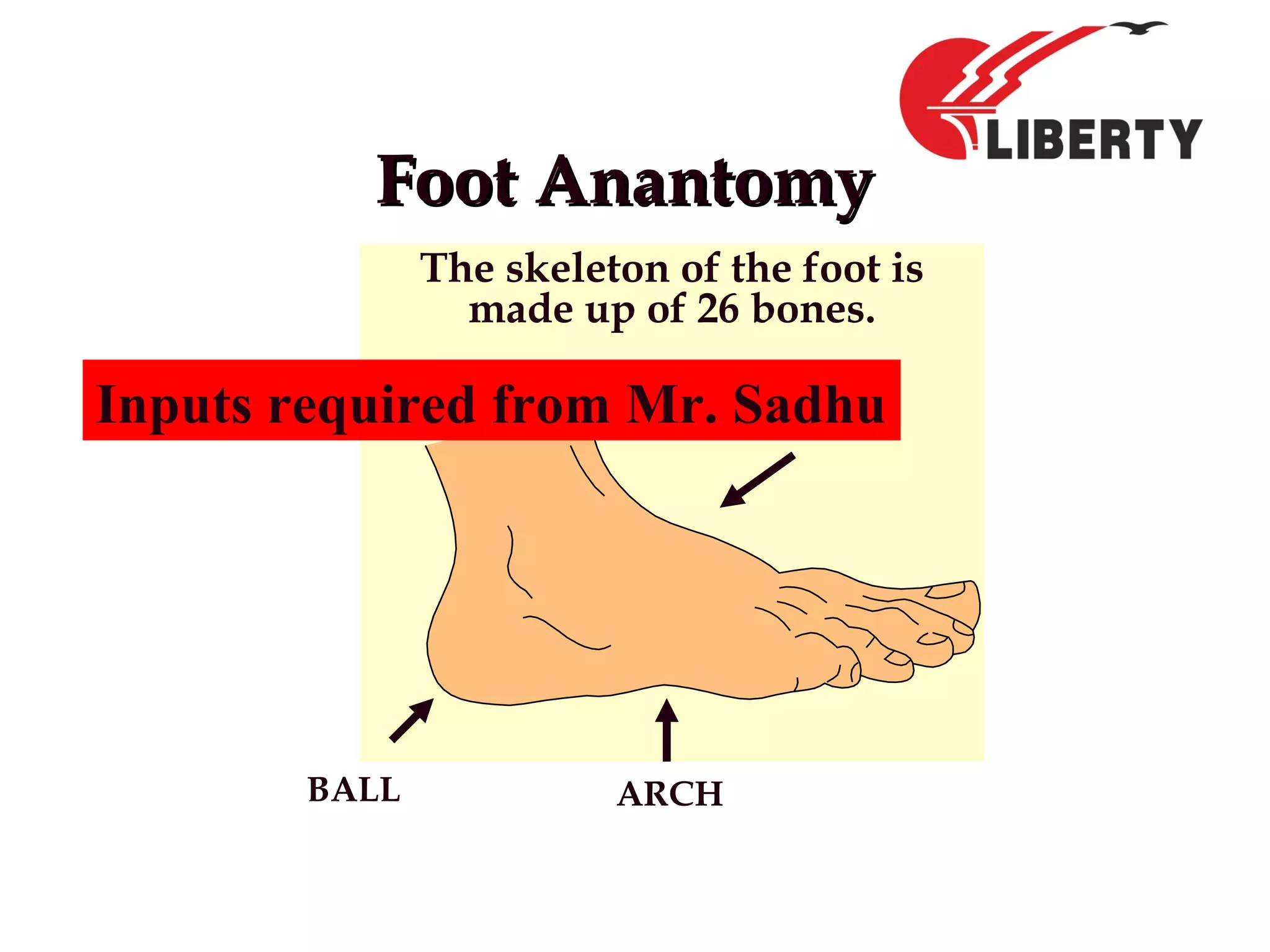 Basic Foot Anatomy and Foot Mechanics | PPT