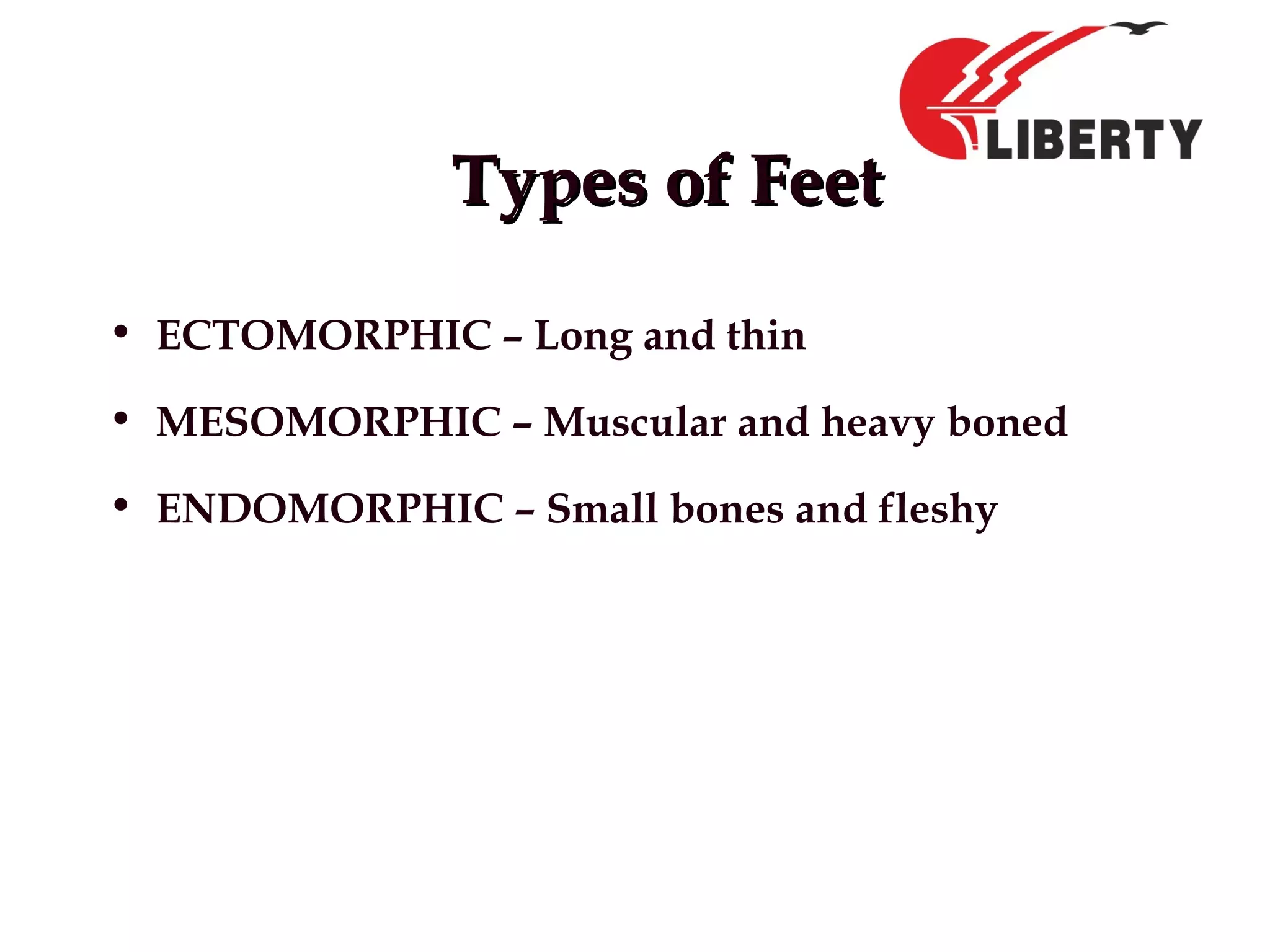 Basic Foot Anatomy and Foot Mechanics | PPT