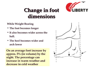 Basic Foot Anatomy and Foot Mechanics | PPT