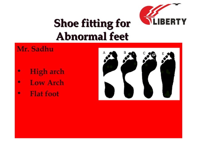 Basic Foot Anatomy and Foot Mechanics | PPT