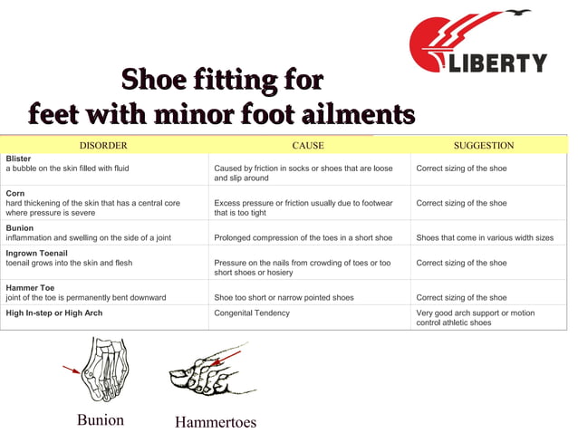 Basic Foot Anatomy and Foot Mechanics | PPT