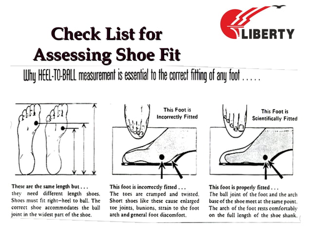 Basic Foot Anatomy and Foot Mechanics | PPT