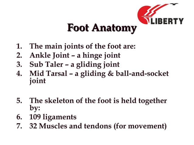 Basic Foot Anatomy and Foot Mechanics | PPT