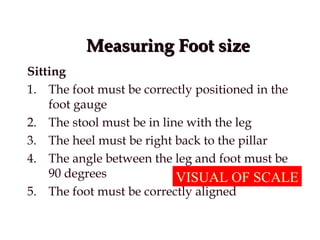 Basic Foot Anatomy and Foot Mechanics | PPT