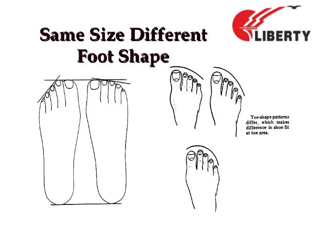 Basic Foot Anatomy and Foot Mechanics