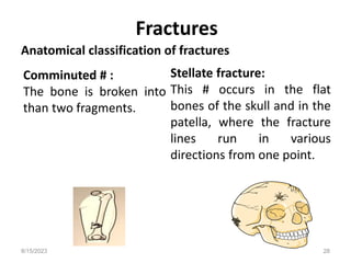 Basic Fracture Management.ppt