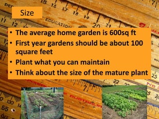 Basic garden planning | PDF