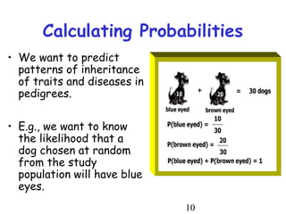 Basic genetics | PPT