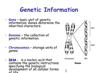 Basic genetics | PPT